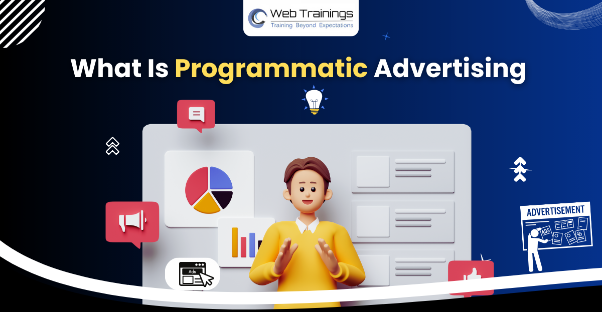 Programmatic Advertising Explained - Web Trainings